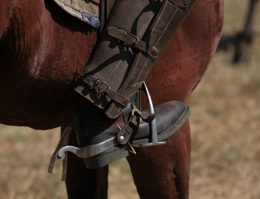 EPERONS CAVALIER STOCKMEN