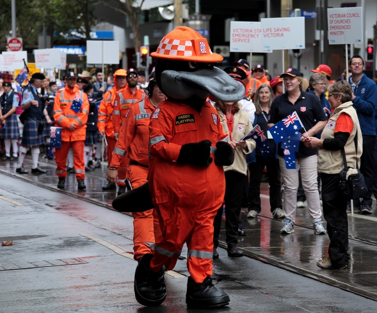 SES PADDY PLATYPUS