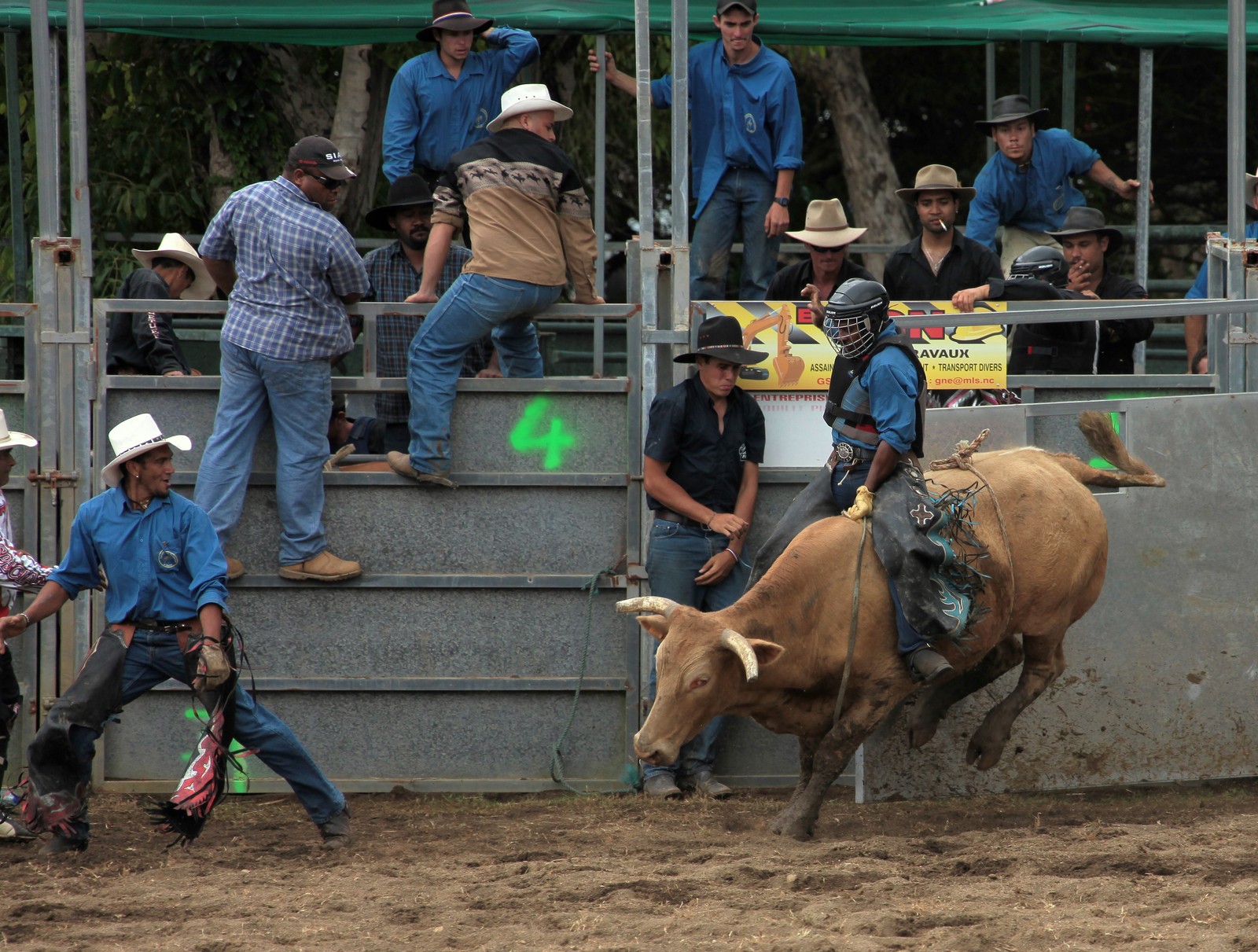 BULL RIDING ARENE DE RODEO